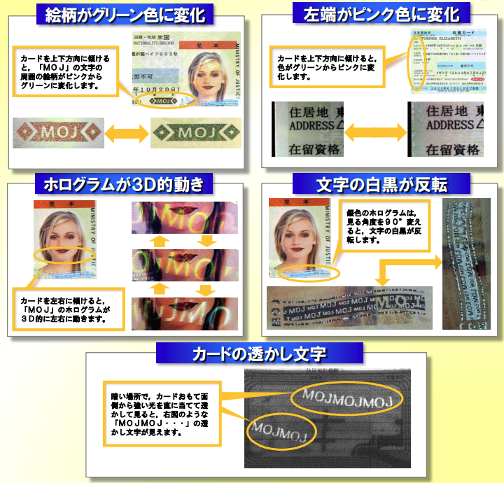 【2025年厳罰化】不法就労助長罪とは？罰則内容と企業が取るべき対策を徹底解説 - 東海中小企業支援事業 協同組合